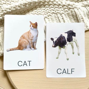 FARM ANIMALS, 24 Montessori Cards, Flash Cards Nomenclature, Flashcards ...