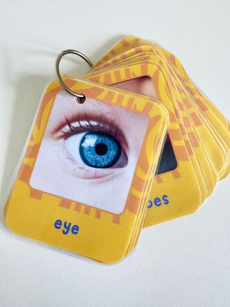 Body Parts Flashcards, Educational Human Anatomy Flash Cards for Kids ...