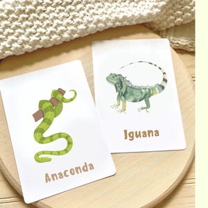 JUNGLE ANIMALS, 24 Montessori Cards, Flash Cards Nomenclature ...