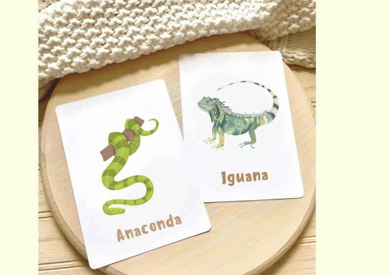 JUNGLE ANIMALS, 24 Montessori Cards, Flash Cards Nomenclature ...