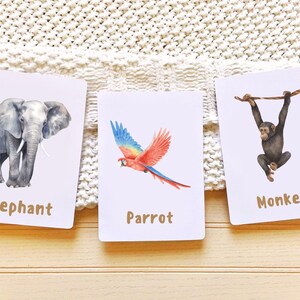 JUNGLE ANIMALS, 24 Montessori Cards, Flash Cards Nomenclature ...