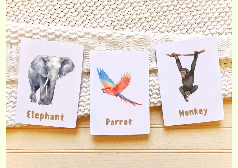 JUNGLE ANIMALS, 24 Montessori Cards, Flash Cards Nomenclature ...