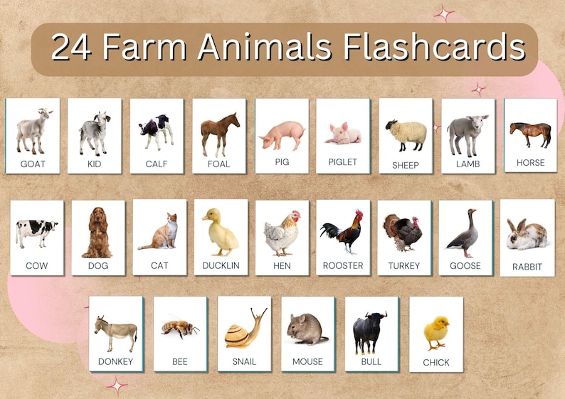 FARM ANIMALS, 24 Montessori Cards, Flash Cards Nomenclature, Flashcards ...