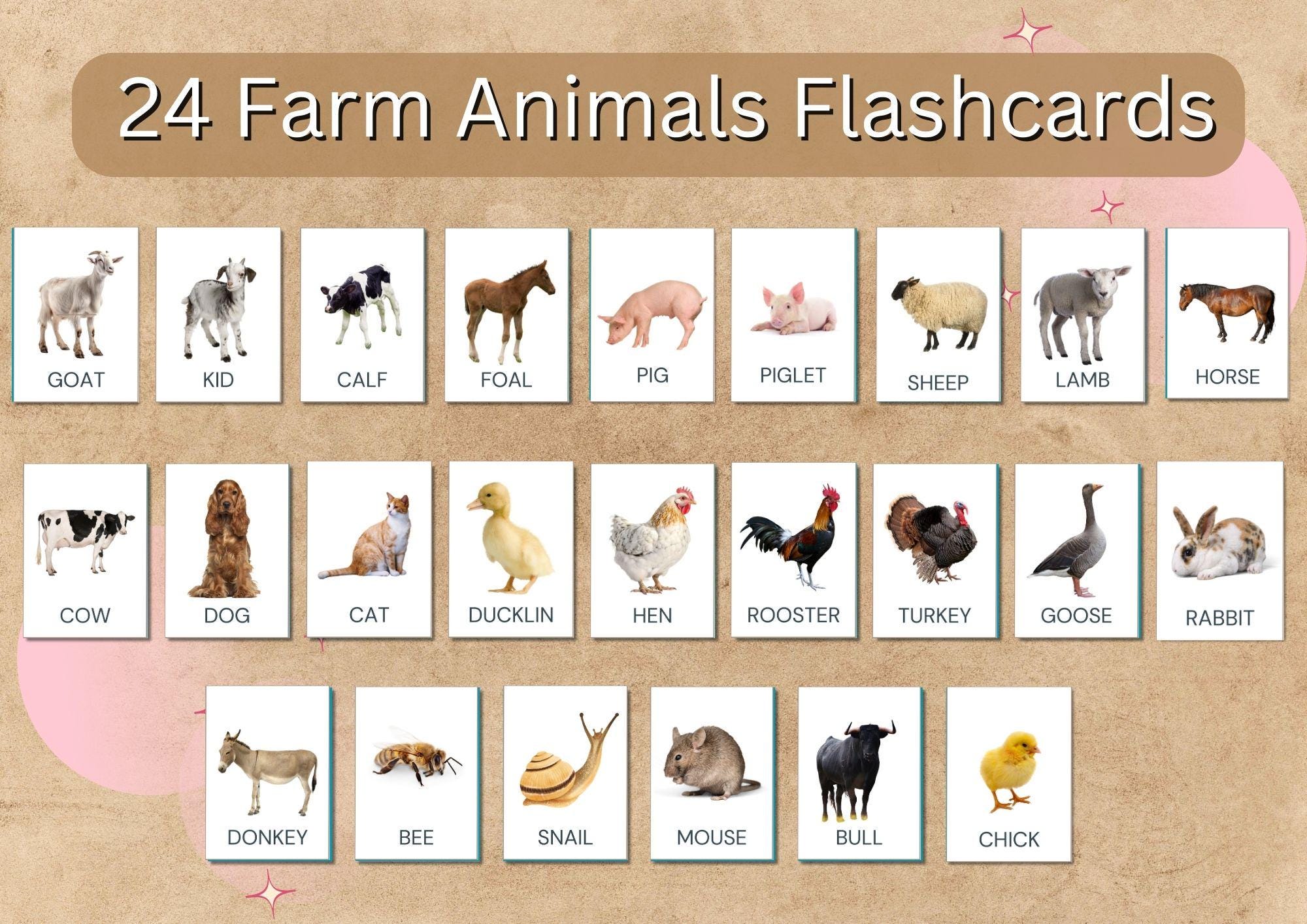 FARM ANIMALS, 24 Montessori Cards, Flash Cards Nomenclature, Flashcards ...