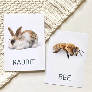 FARM ANIMALS, 24 Montessori Cards, Flash Cards Nomenclature, Flashcards ...
