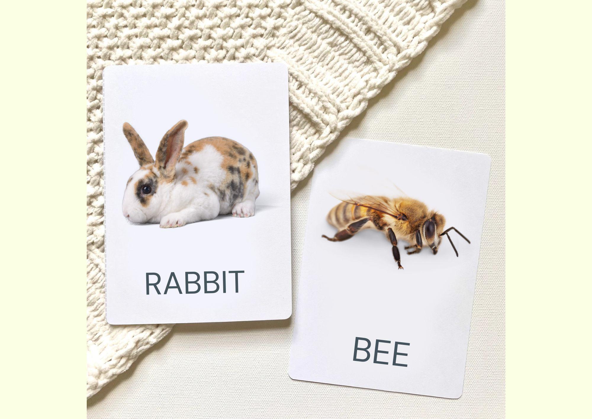 FARM ANIMALS, 24 Montessori Cards, Flash Cards Nomenclature, Flashcards ...