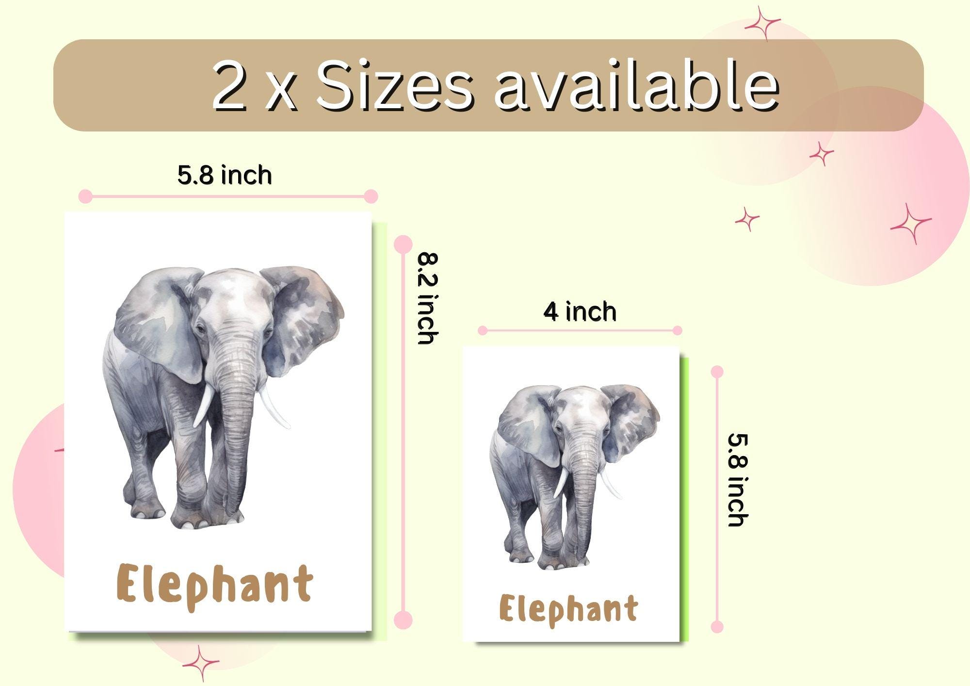 JUNGLE ANIMALS, 24 Montessori Cards, Flash Cards Nomenclature ...