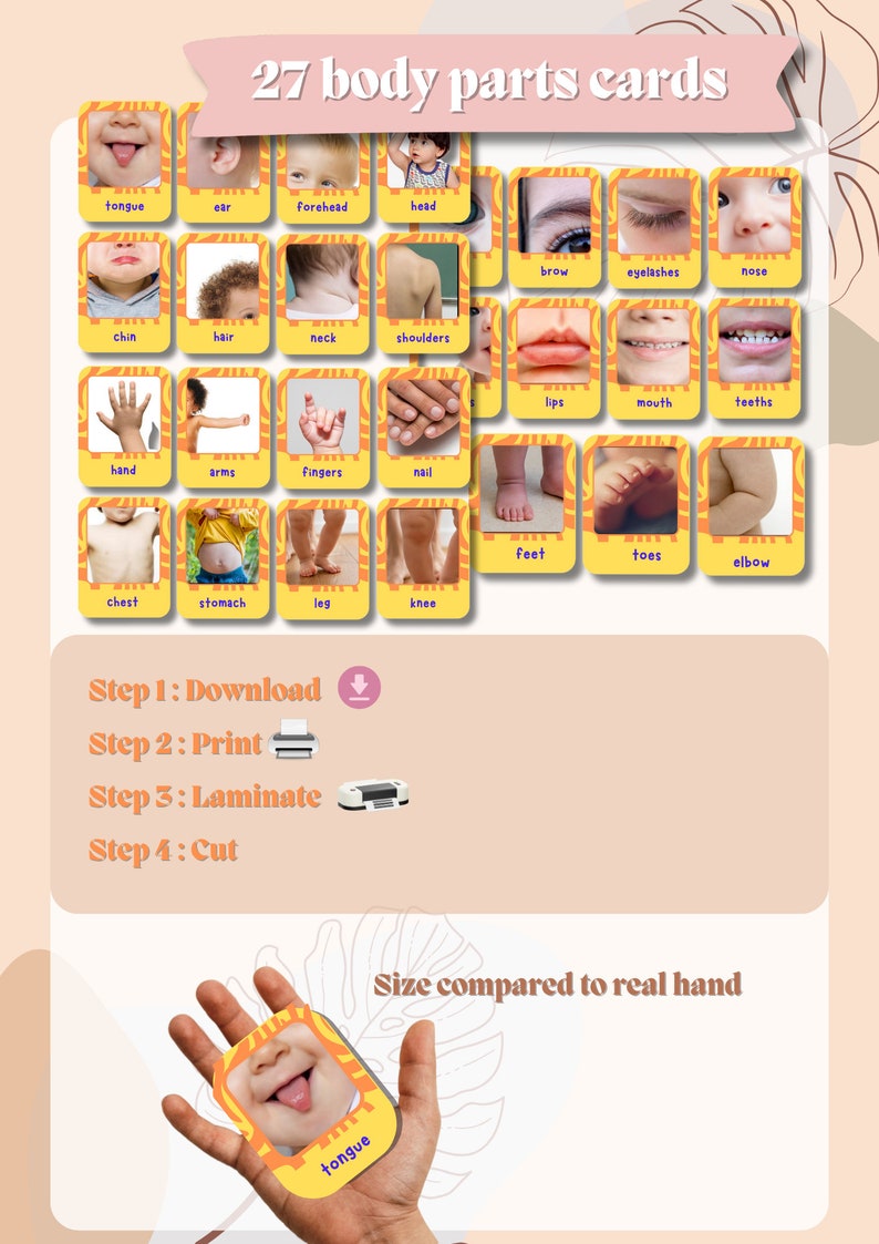 Body Parts Flashcards, Educational Human Anatomy Flash Cards for Kids ...
