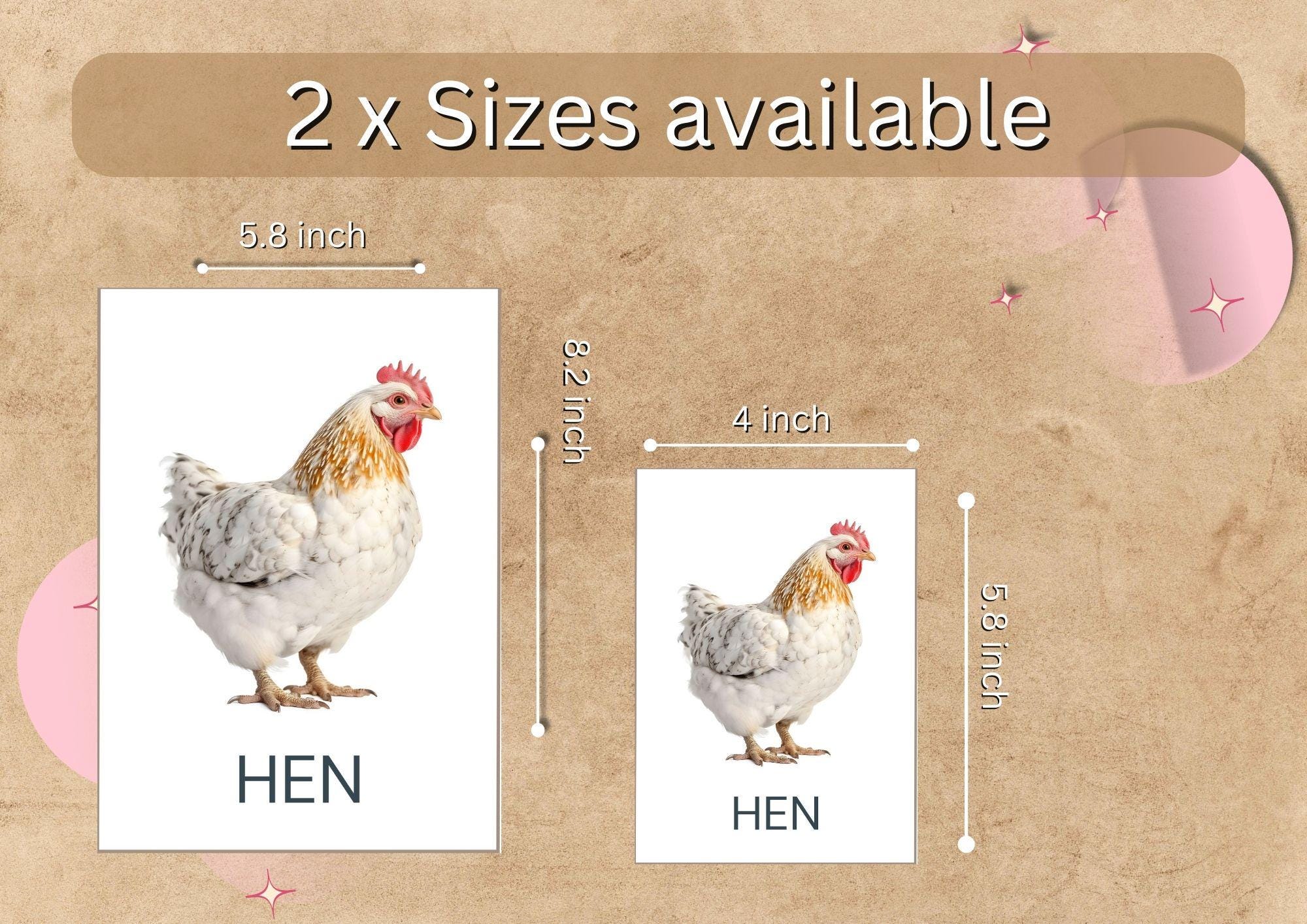 FARM ANIMALS, 24 Montessori Cards, Flash Cards Nomenclature, Flashcards ...