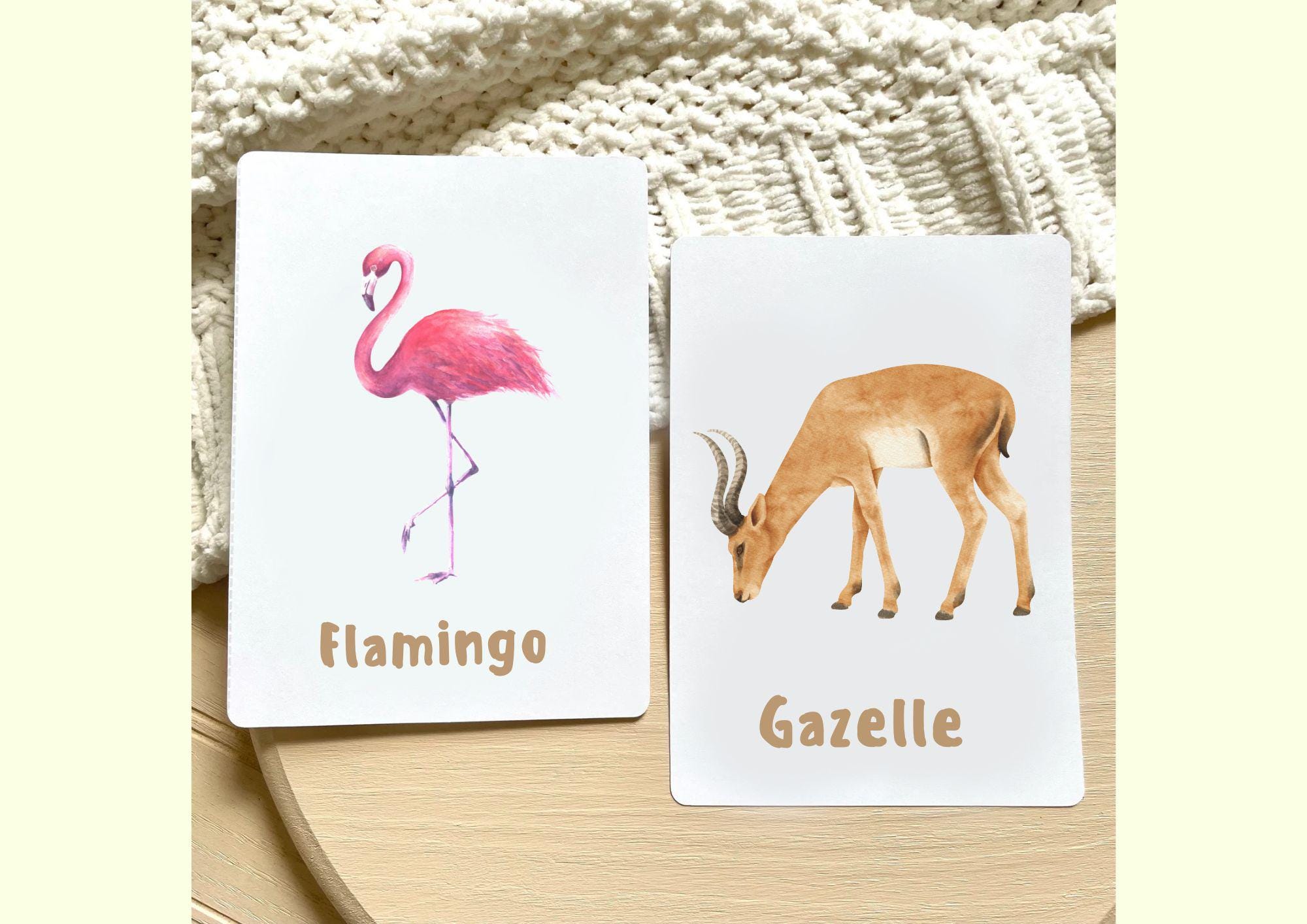 JUNGLE ANIMALS, 24 Montessori Cards, Flash Cards Nomenclature ...