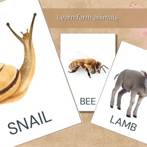 FARM ANIMALS, 24 Montessori Cards, Flash Cards Nomenclature, Flashcards ...