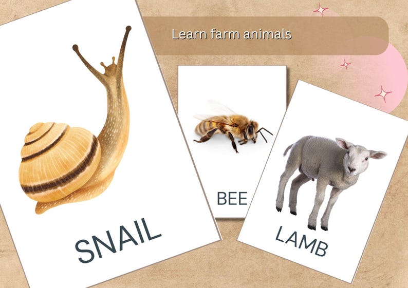 FARM ANIMALS, 24 Montessori Cards, Flash Cards Nomenclature, Flashcards ...