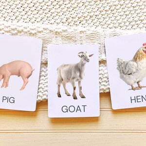 FARM ANIMALS, 24 Montessori Cards, Flash Cards Nomenclature, Flashcards ...