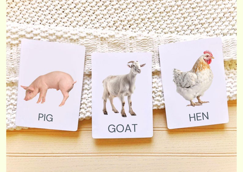FARM ANIMALS, 24 Montessori Cards, Flash Cards Nomenclature, Flashcards ...