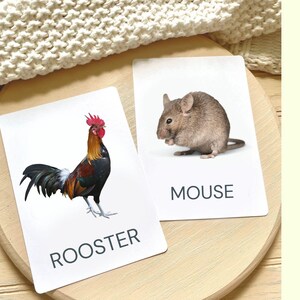 FARM ANIMALS, 24 Montessori Cards, Flash Cards Nomenclature, Flashcards ...