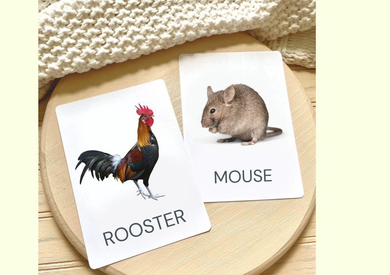 FARM ANIMALS, 24 Montessori Cards, Flash Cards Nomenclature, Flashcards ...