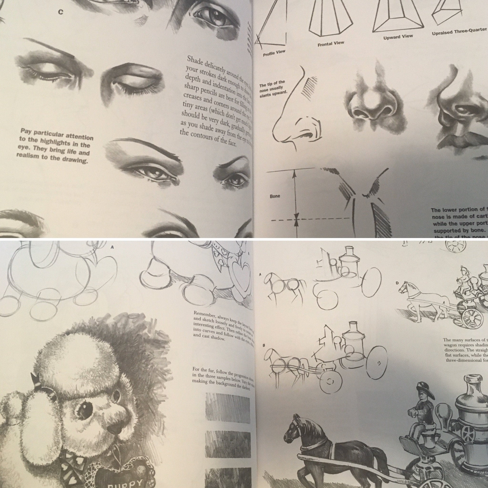 Walter Foster - How to Draw and Paint Books - 5 Books - Roses and ...