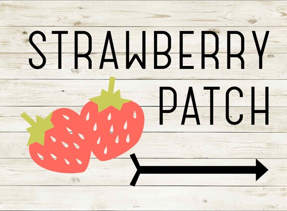 Strawberry Patch SVG Cricut Cut File | Etsy