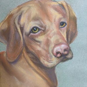 Vintage Original Chalk Drawing of a Dog With Mat - Etsy