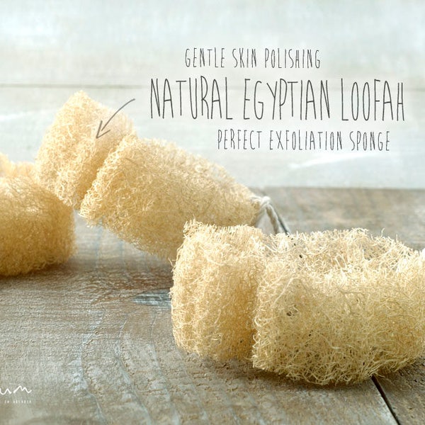 Luffa Sponge - Etsy