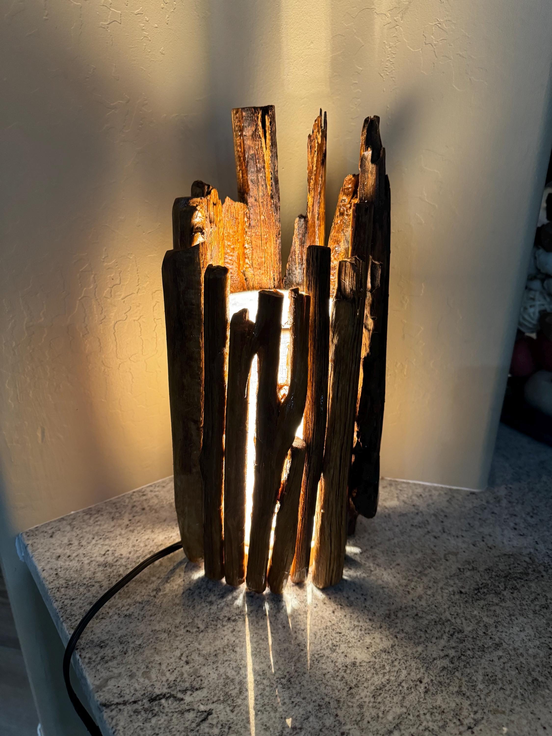 Saguaro RARE Cactus Skeleton Wood Adjoined Sonoran Mojave Desert Cholla ...
