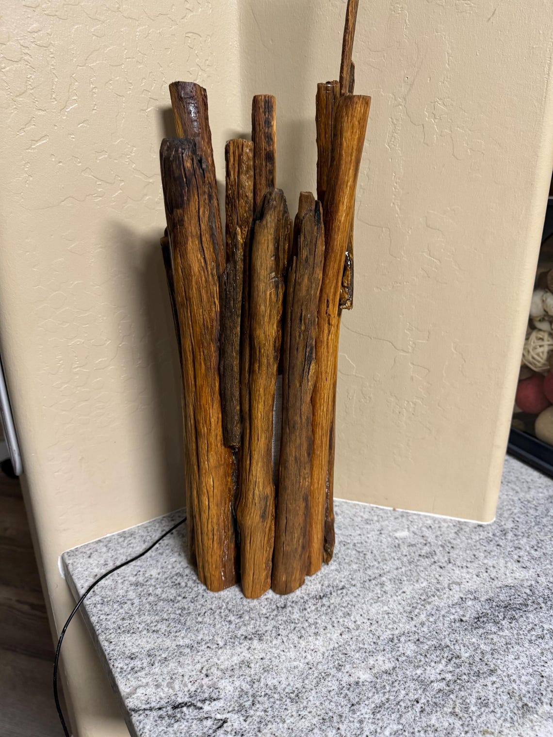 Saguaro RARE Cactus Skeleton Wood Adjoined Sonoran Mojave Desert Cholla ...