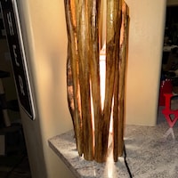 Cactus Skeleton Cholla Wood Lamp - Etsy
