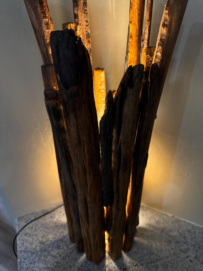 Saguaro RARE Cactus Skeleton Wood Adjoined Sonoran Mojave Desert Cholla ...