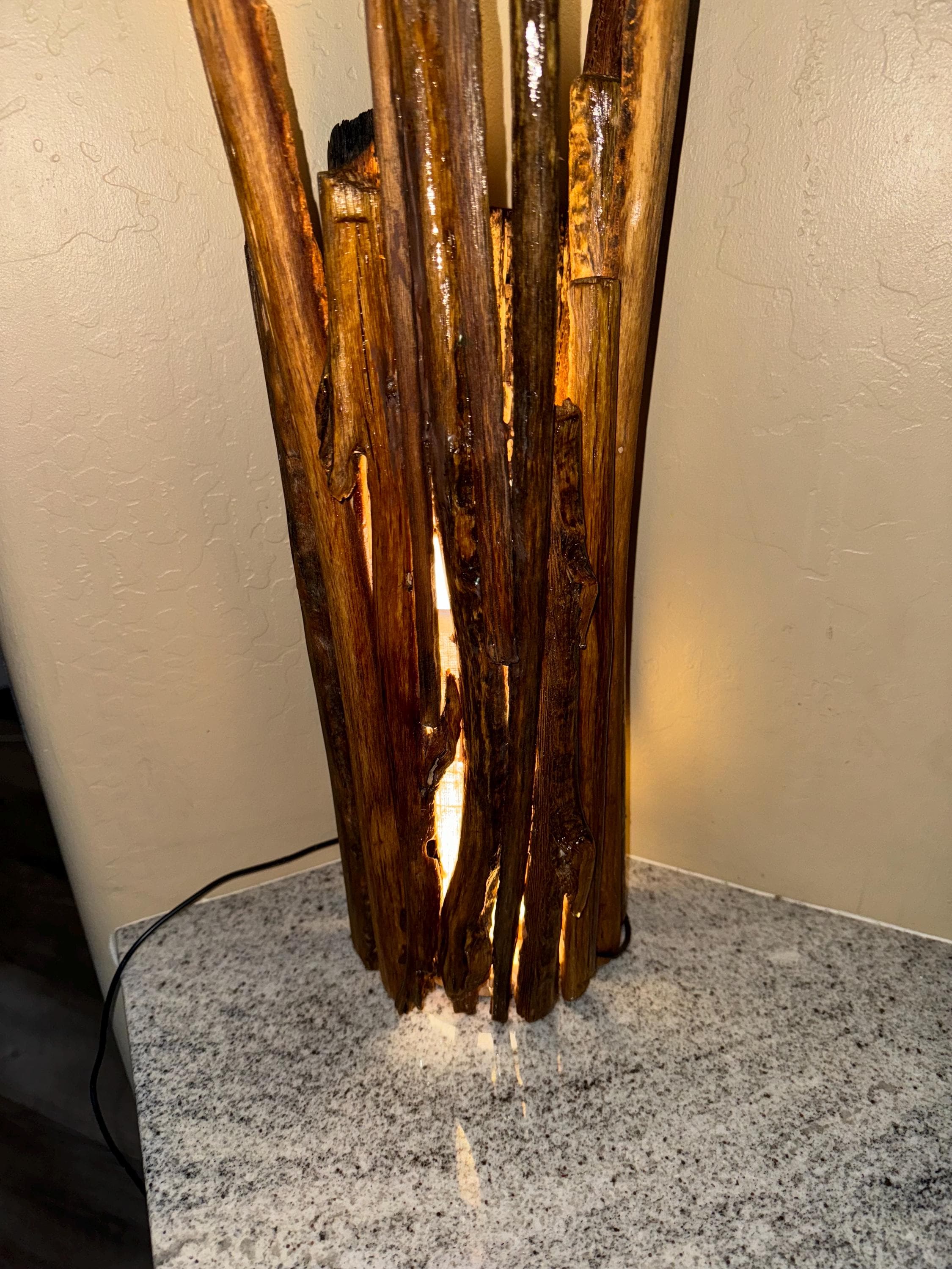 Saguaro RARE Cactus Skeleton Wood Adjoined Sonoran Mojave Desert Cholla ...