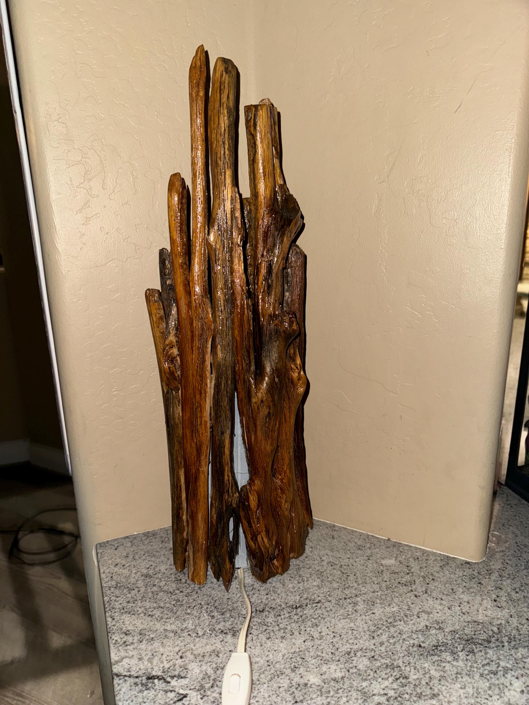 Saguaro RARE Cactus Skeleton Wood Adjoined Sonoran Mojave Desert Cholla ...