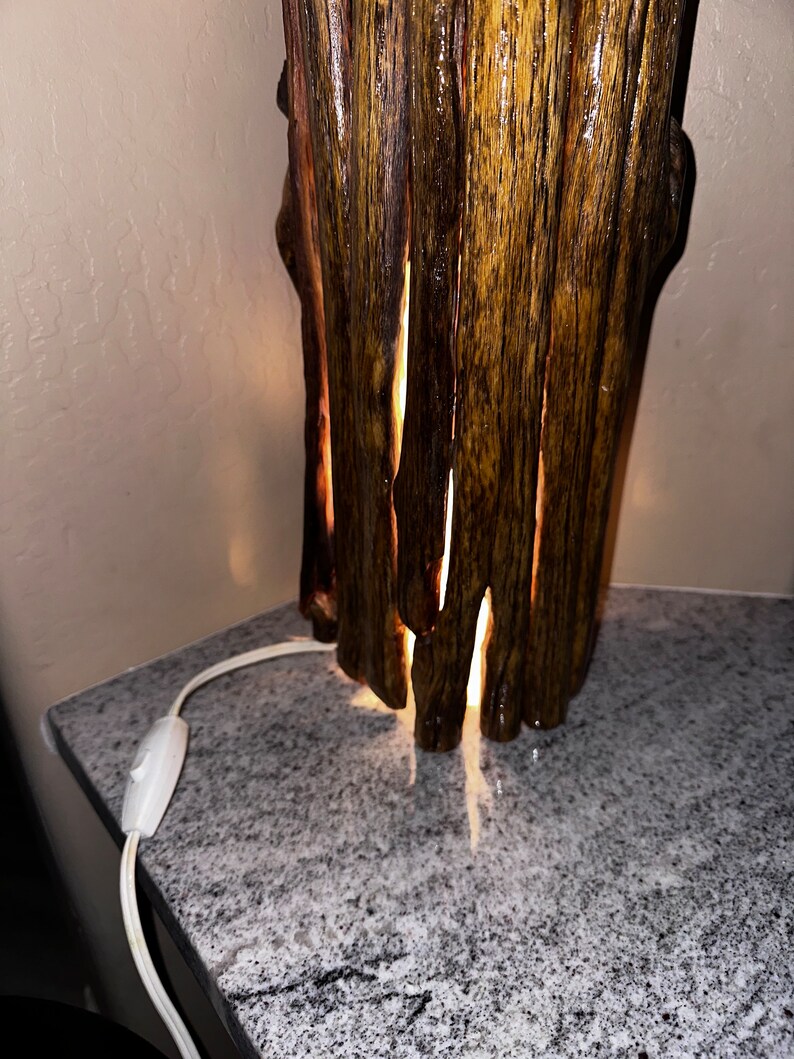 Saguaro RARE Cactus Skeleton Wood Adjoined Sonoran Mojave Desert Cholla ...