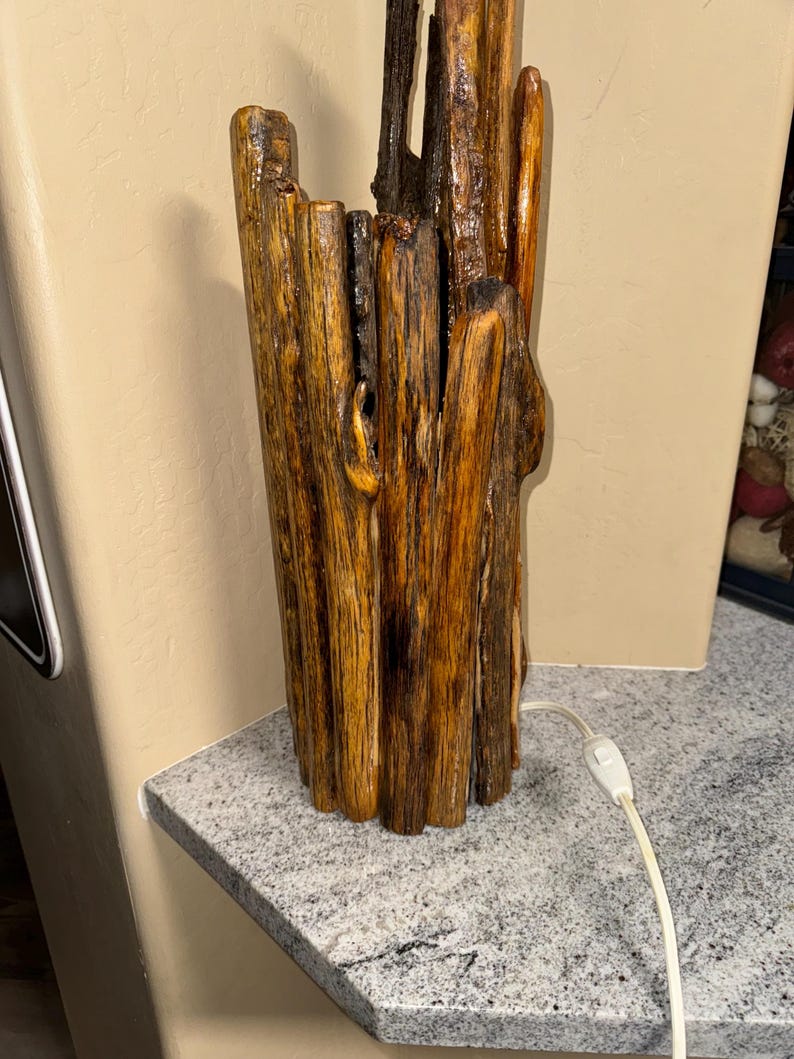 Saguaro RARE Cactus Skeleton Wood Adjoined Sonoran Mojave Desert Cholla ...
