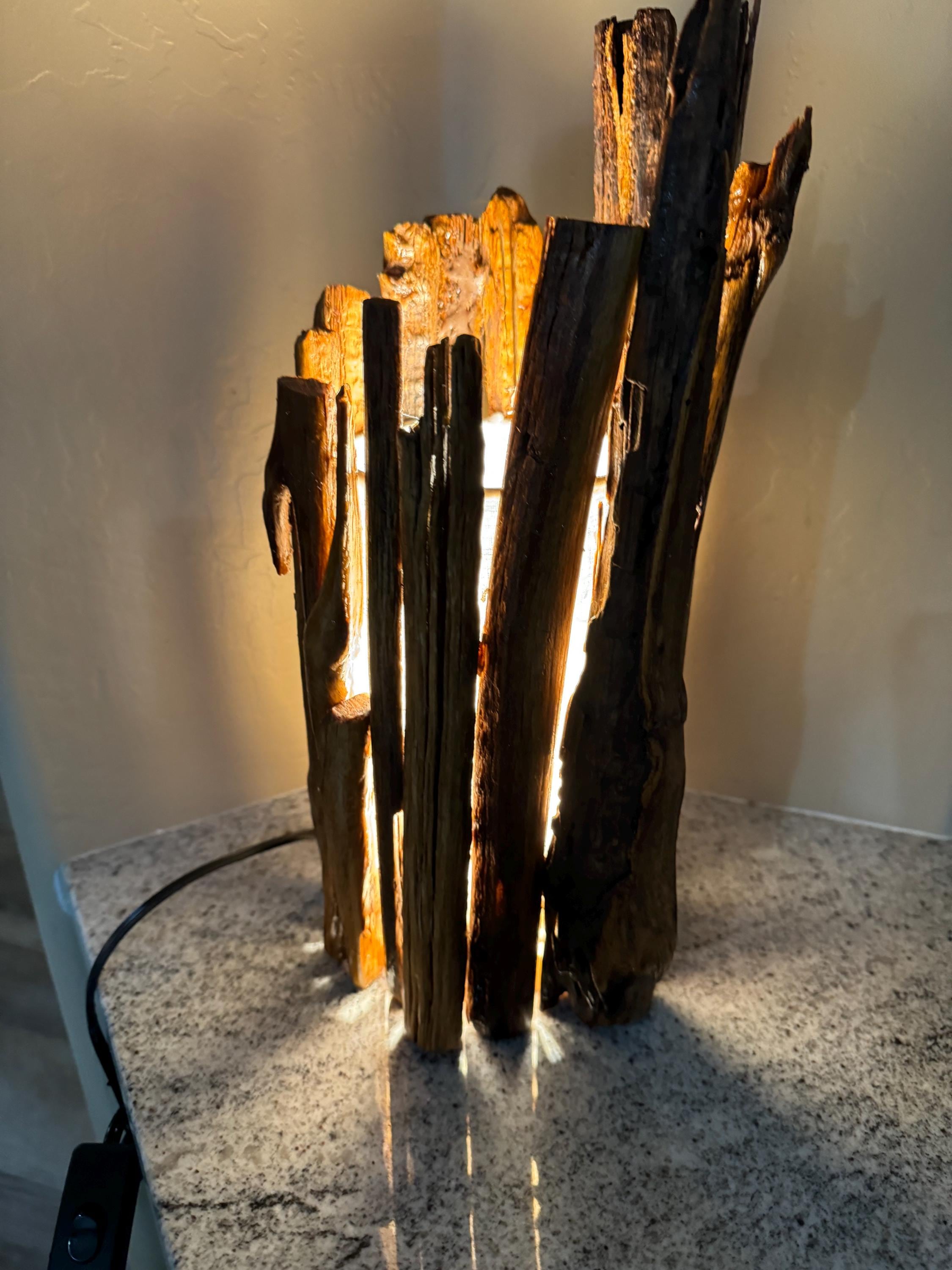 Saguaro RARE Cactus Skeleton Wood Adjoined Sonoran Mojave Desert Cholla ...