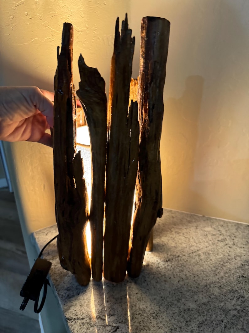 Saguaro RARE Cactus Skeleton Wood Adjoined Sonoran Mojave Desert Cholla ...