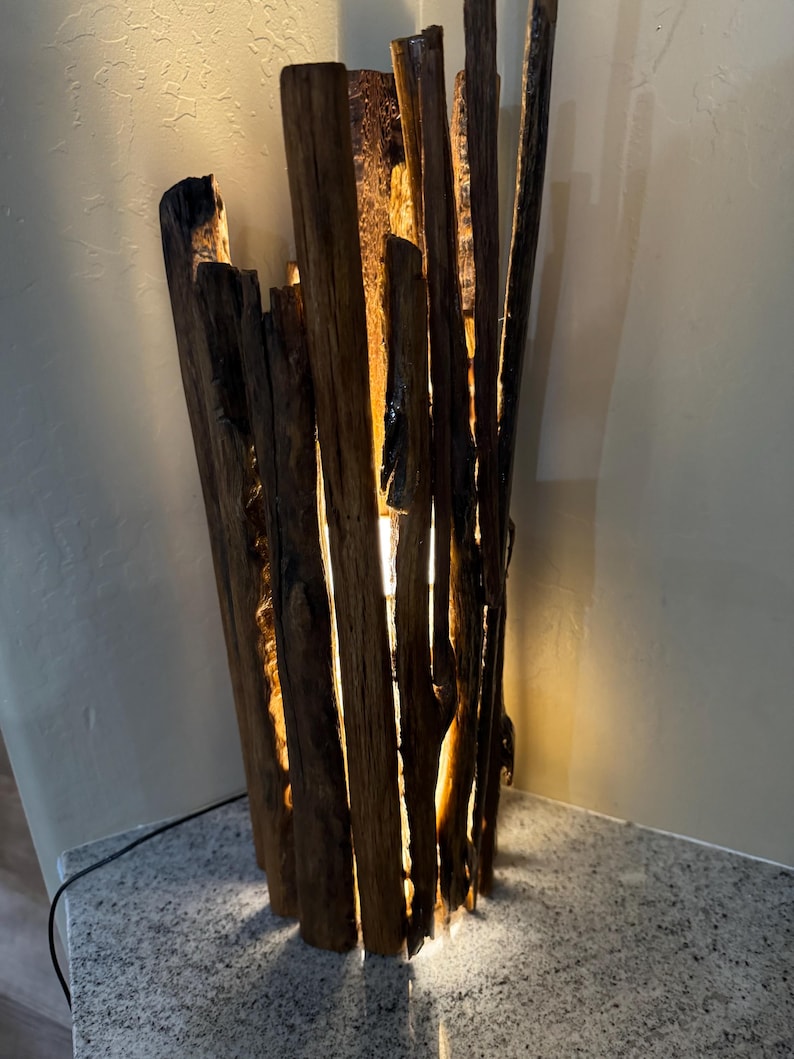 Saguaro RARE Cactus Skeleton Wood Adjoined Sonoran Mojave Desert Cholla ...