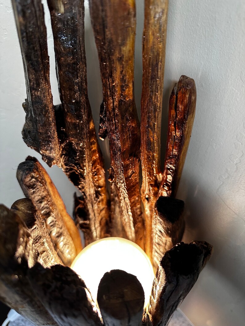 Saguaro RARE Cactus Skeleton Wood Adjoined Sonoran Mojave Desert Cholla ...