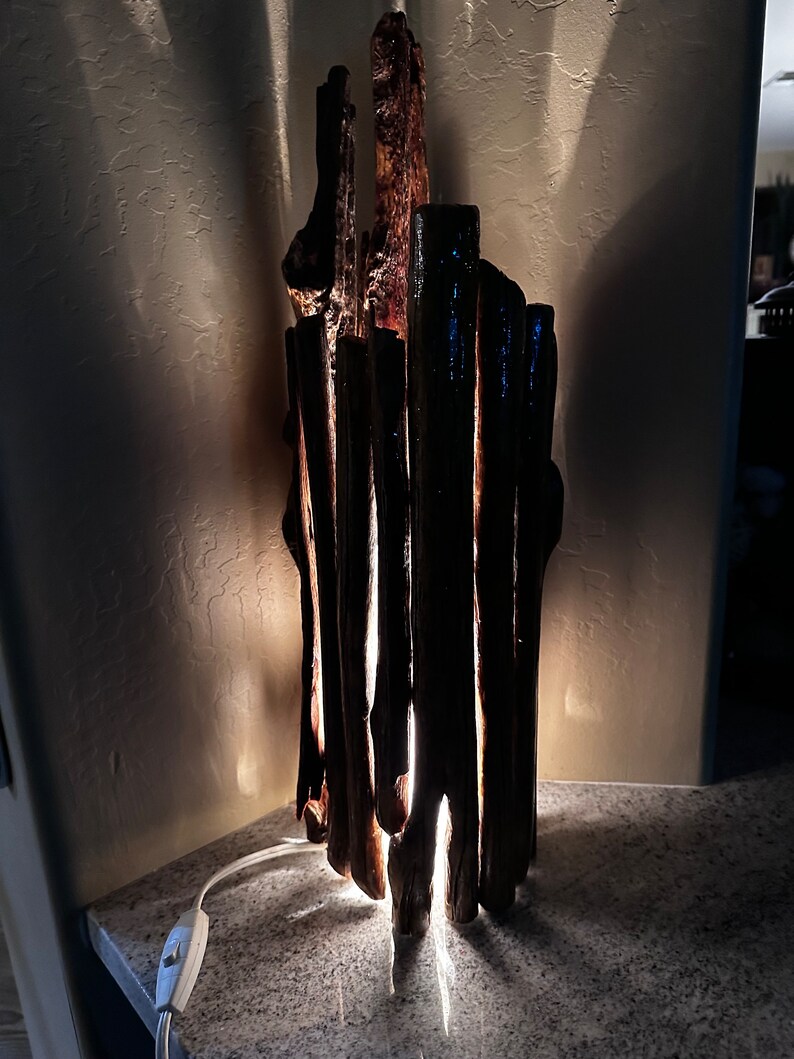 Saguaro RARE Cactus Skeleton Wood Adjoined Sonoran Mojave Desert Cholla ...