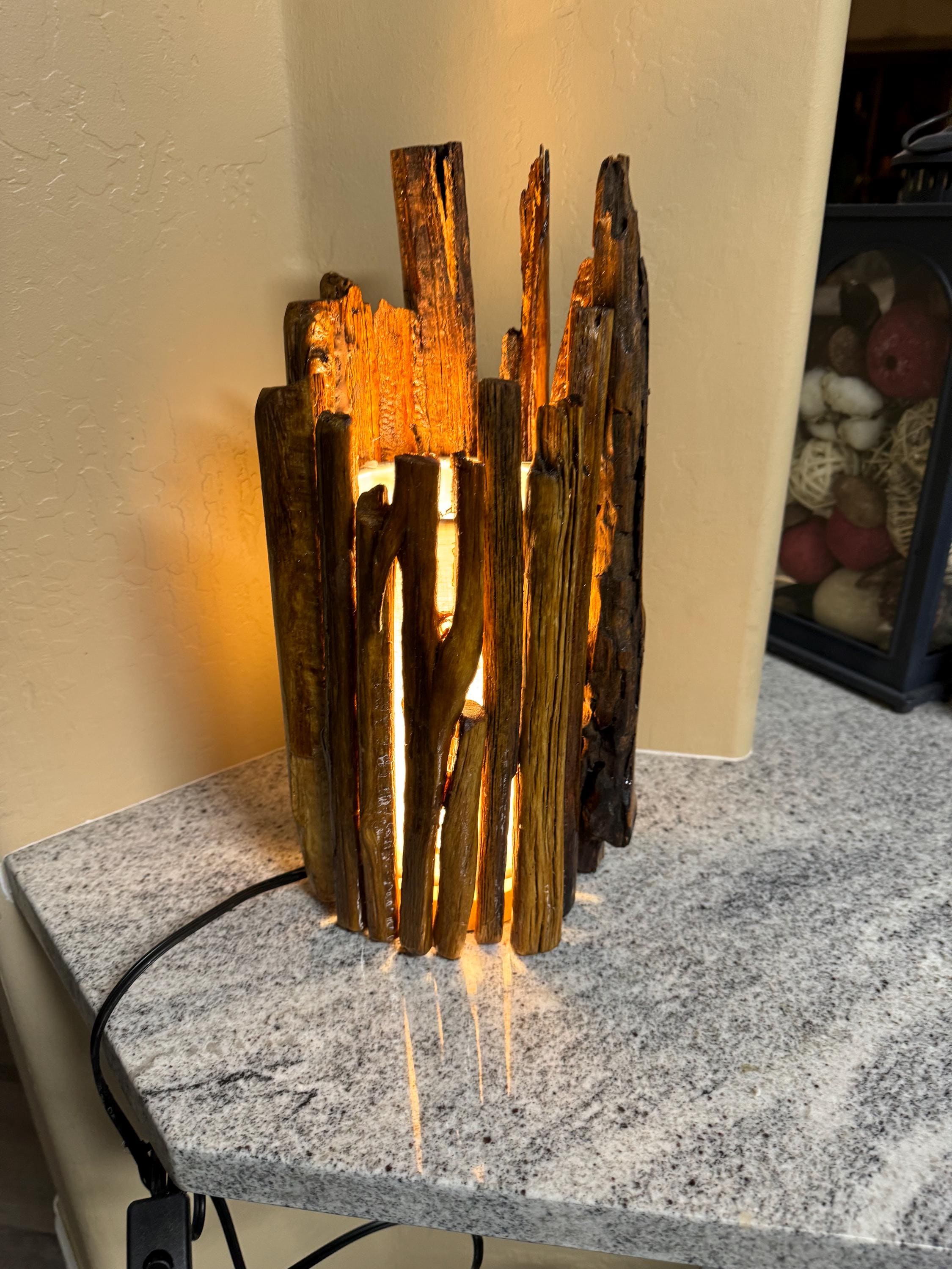 Saguaro RARE Cactus Skeleton Wood Adjoined Sonoran Mojave Desert Cholla ...