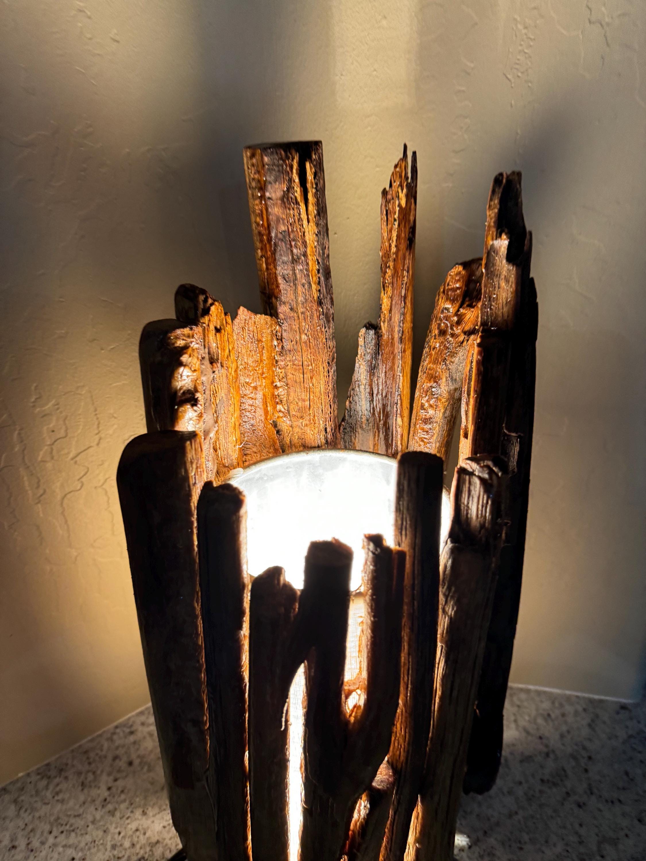 Saguaro RARE Cactus Skeleton Wood Adjoined Sonoran Mojave Desert Cholla ...