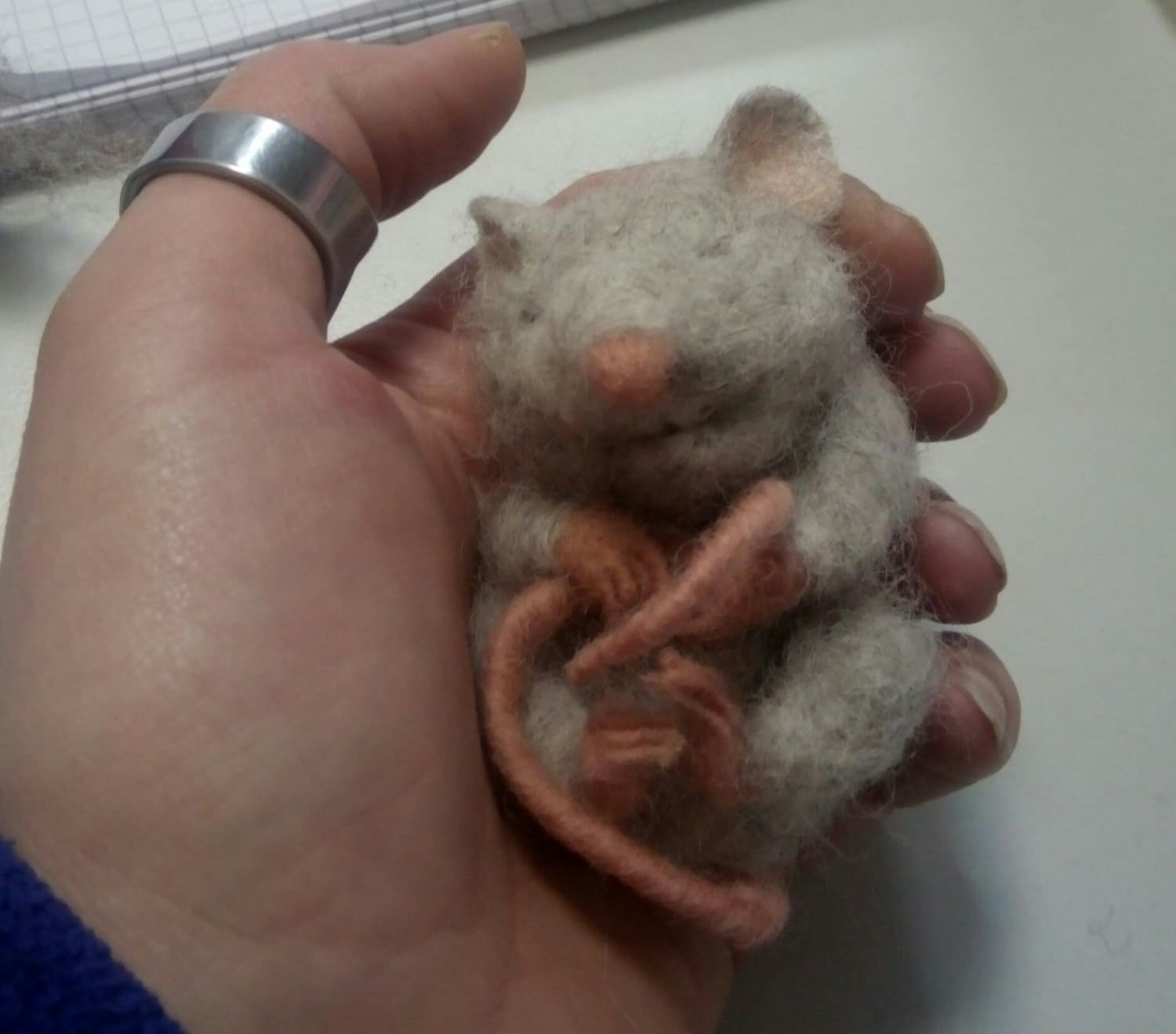 Sleepy Rat on a Mat - Etsy