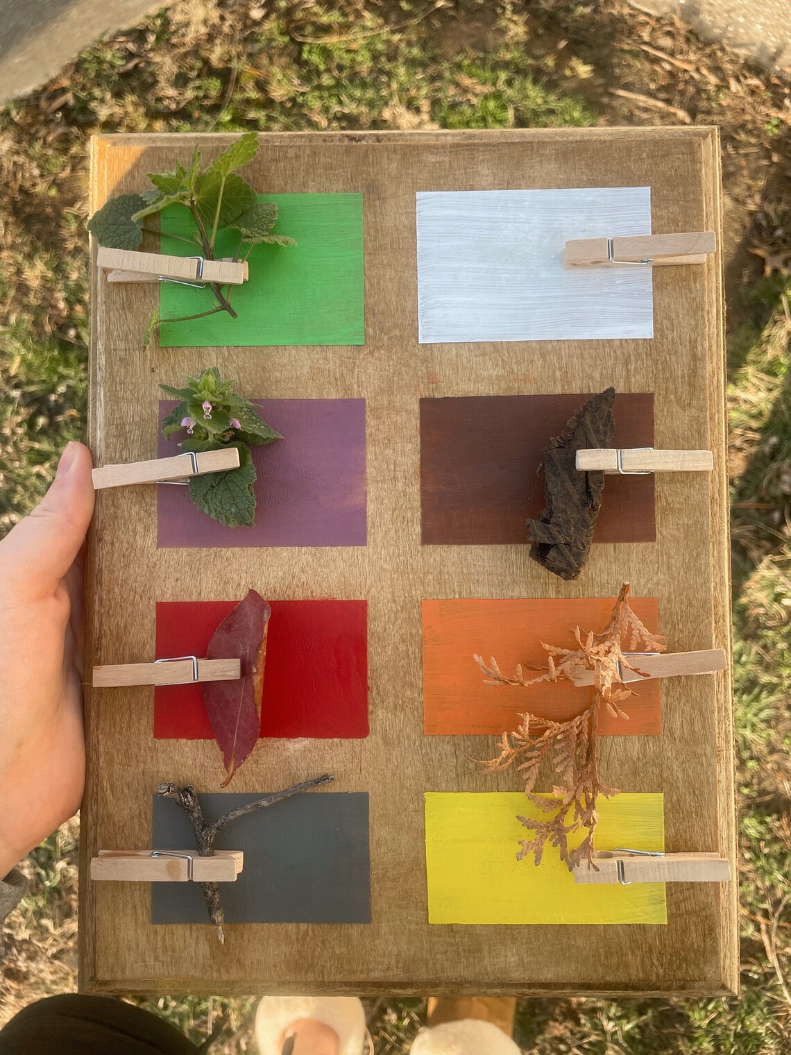 Colors in Nature Scavenger Hunt Board - Etsy