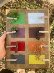 Nature Color Wheel, Nature Scavenger Hunt, Nature Study, Preschool ...