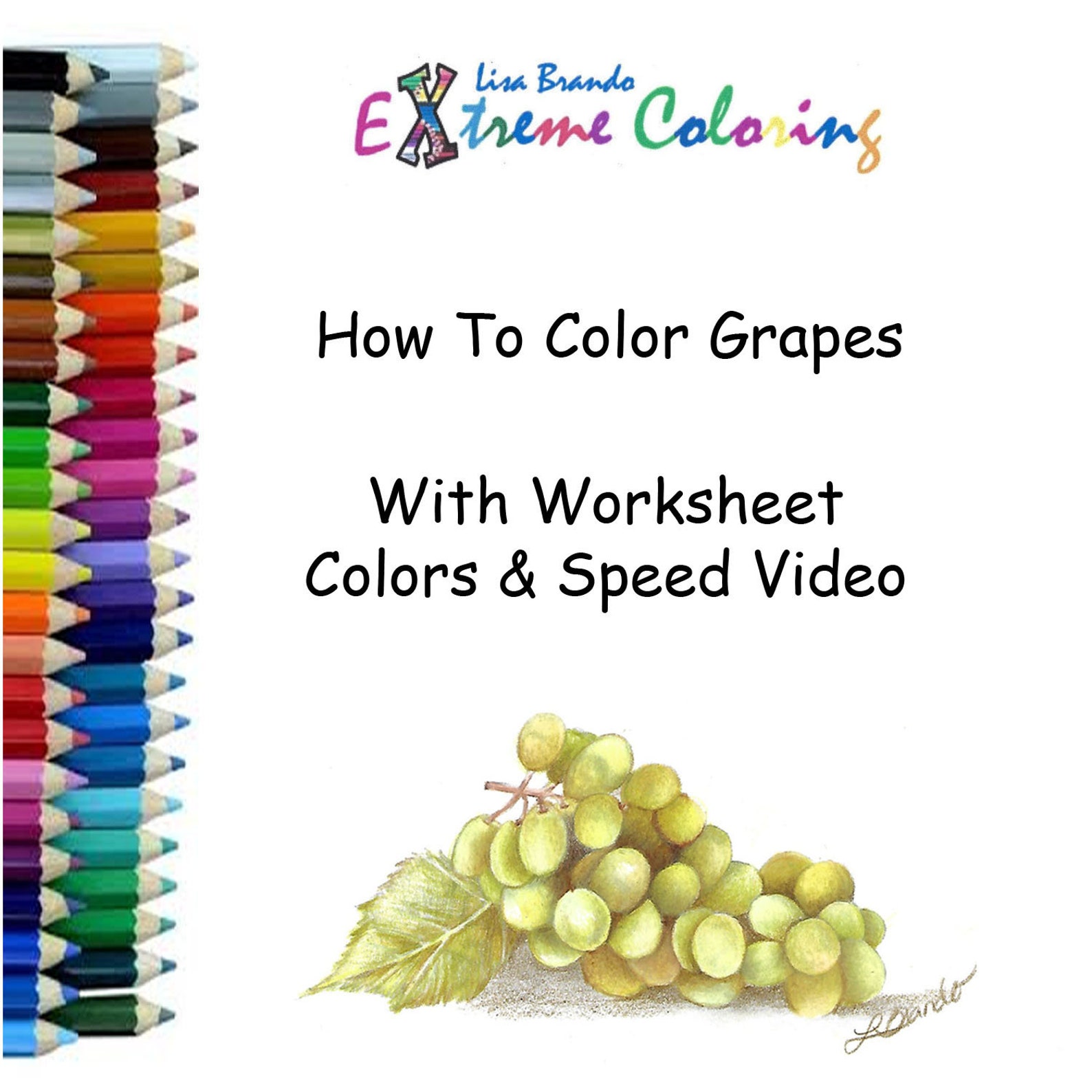 How to Color Grapes Colors Used With Worksheet and Speed Video - Etsy