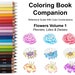 Coloring Book Companion Reference Guide for Coloring Books | Etsy