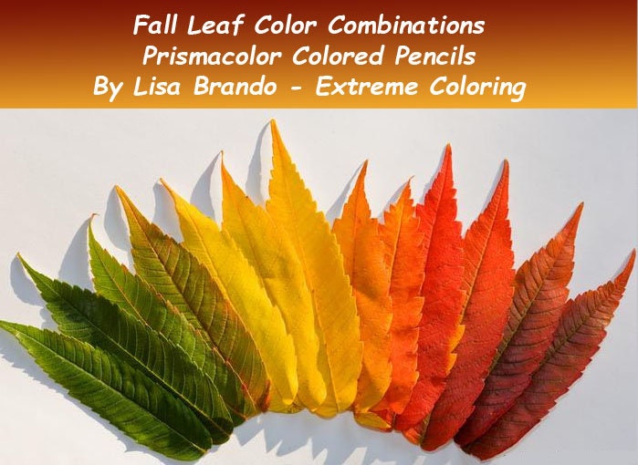Fall Leaf Color Combinations Using Prismacolor Colored Pencils ...