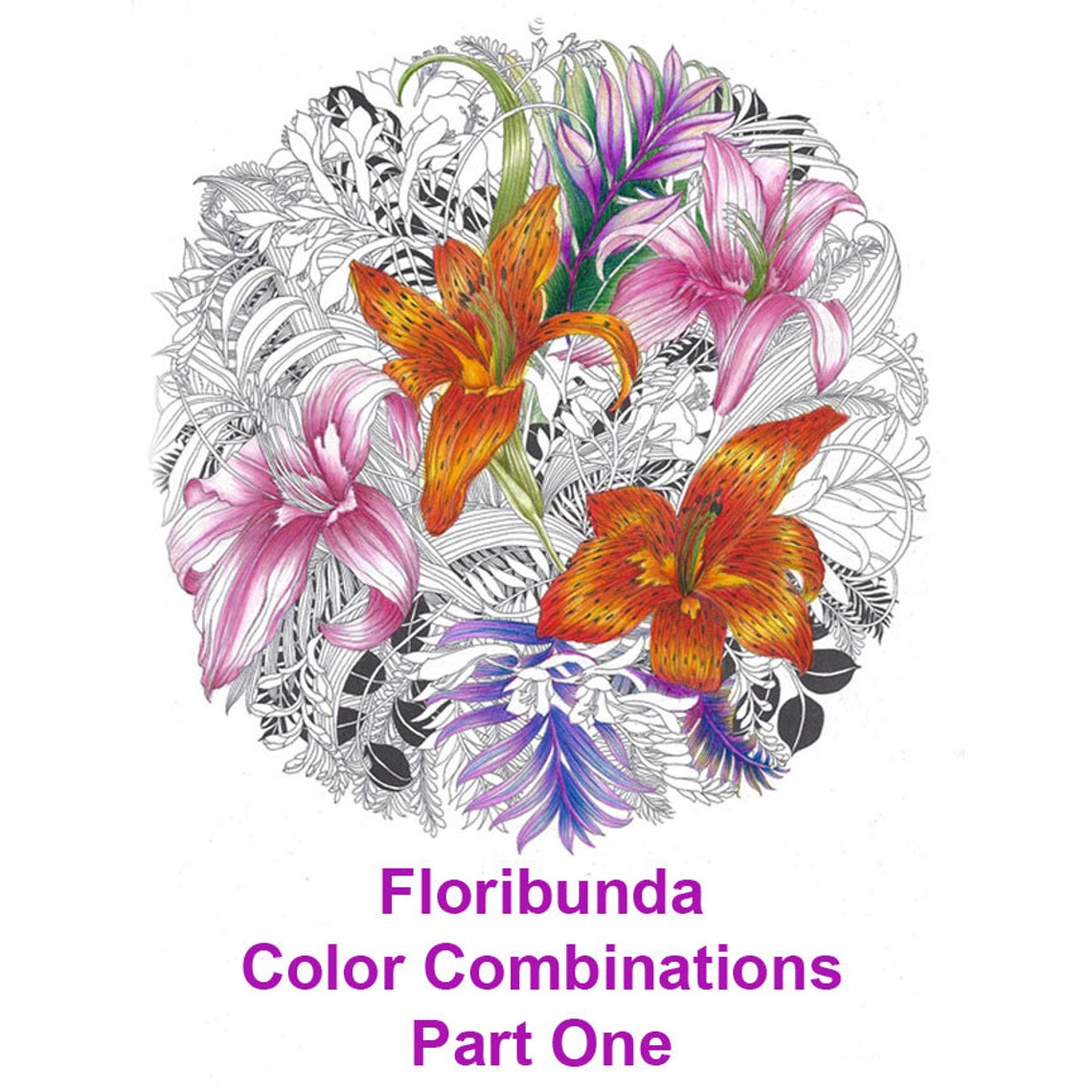 Color Combinations - Color by Number - How to Pick Colors for the Lila ...
