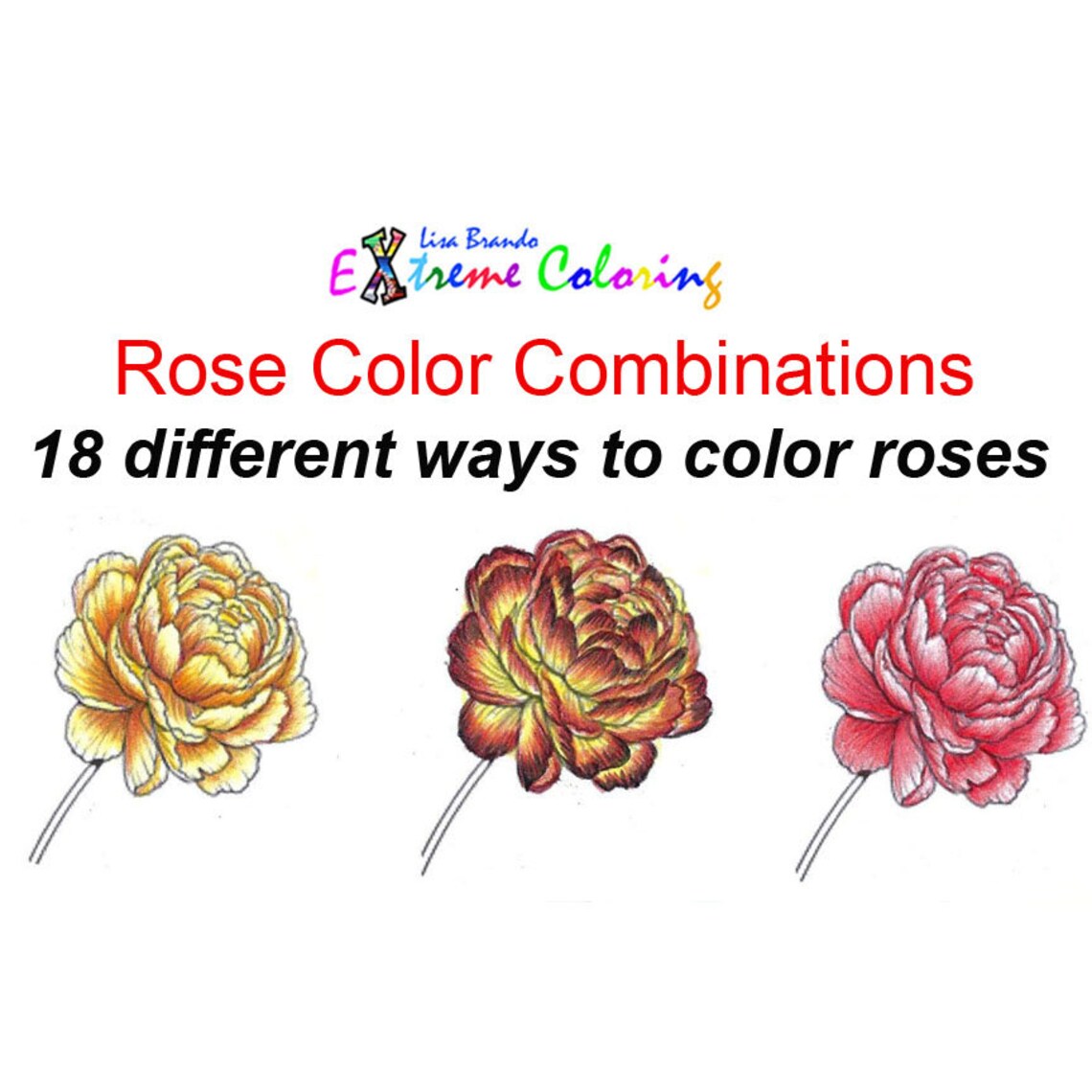Rose Color Combinations 18 Different Ways to Color Roses - Etsy