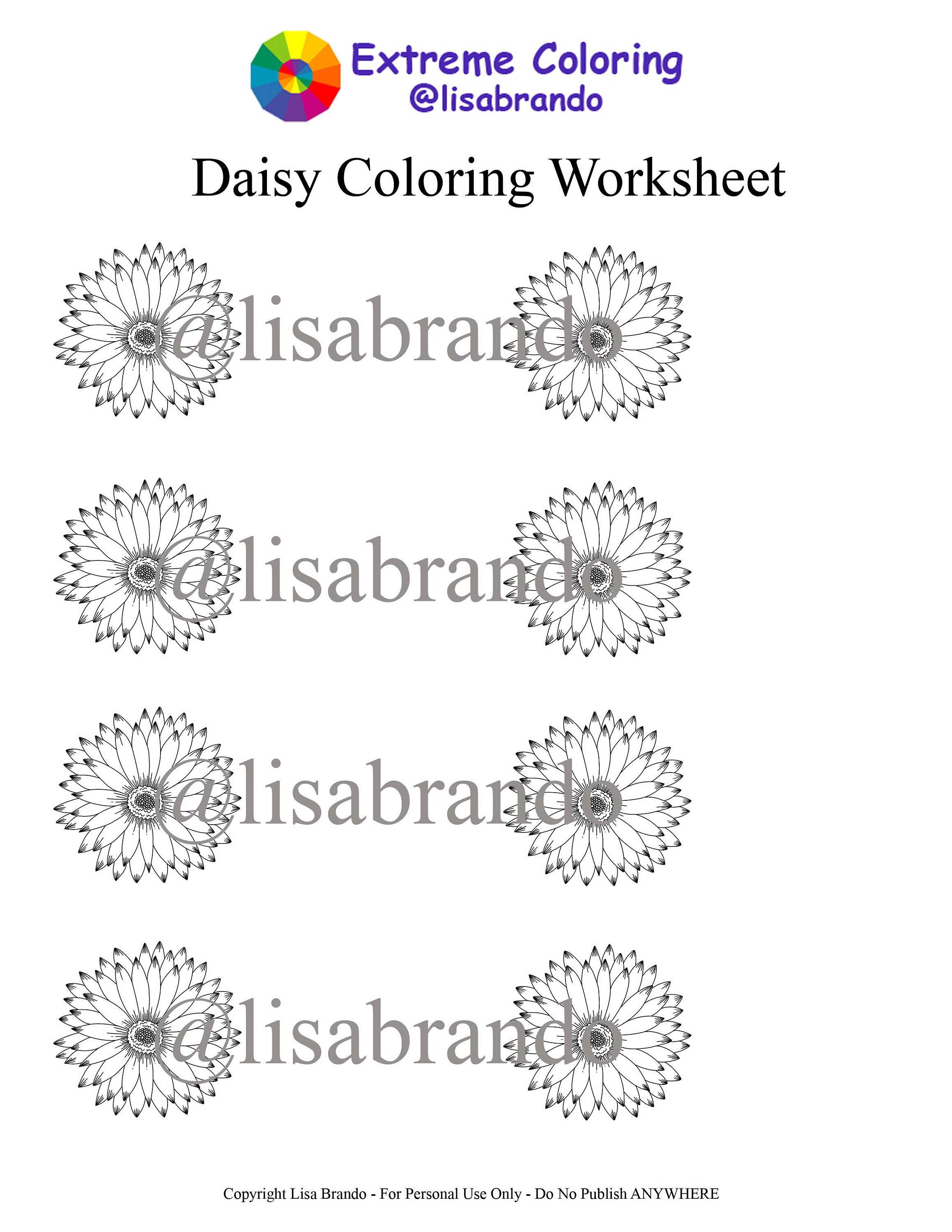 Daisy Coloring Worksheet - Daisy Flower Colors Reference Lisa Brando - Etsy