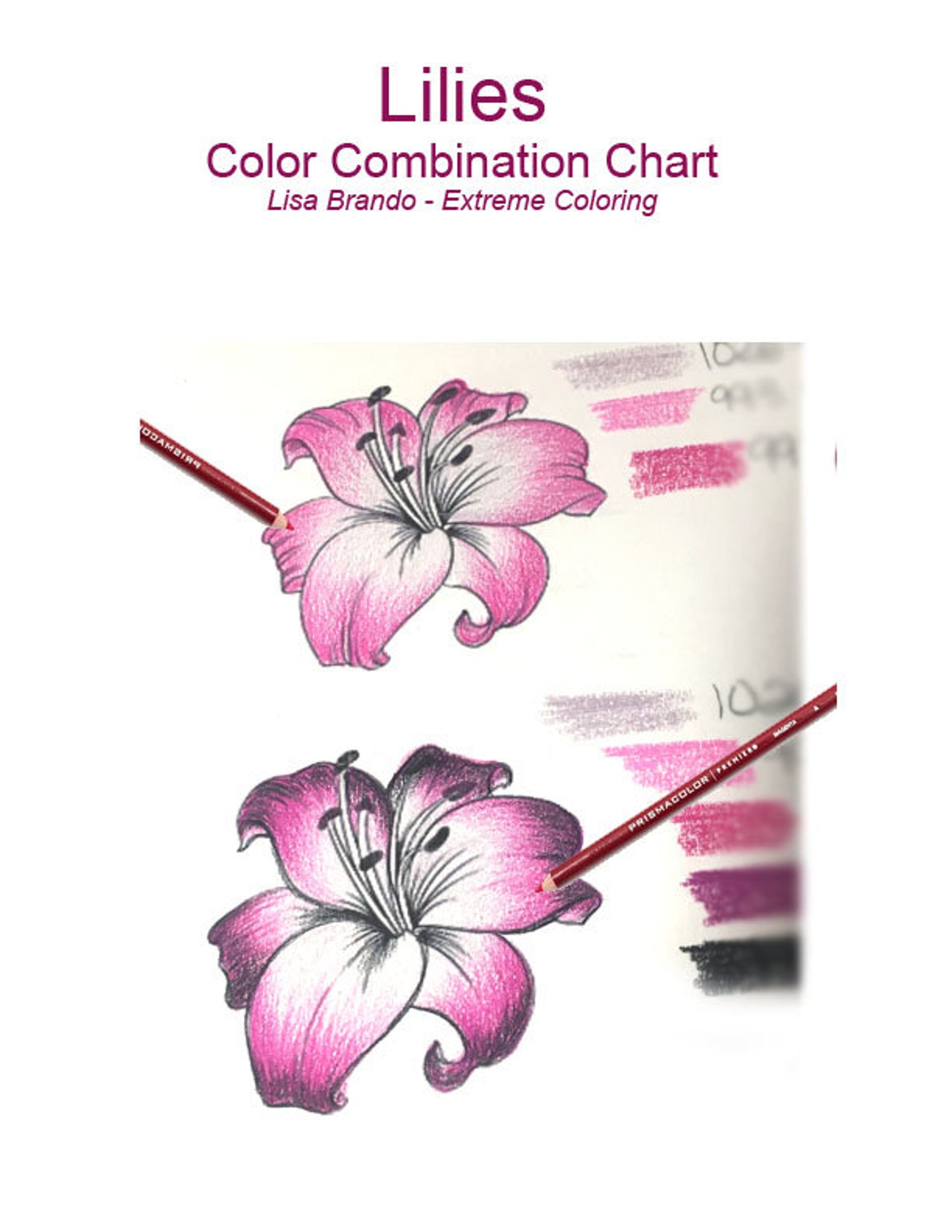 Lilies Color Combination Chart How to Color Lilys Lisa - Etsy