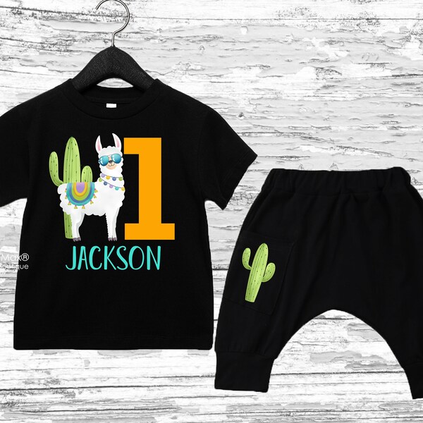 Llama First Birthday - Etsy